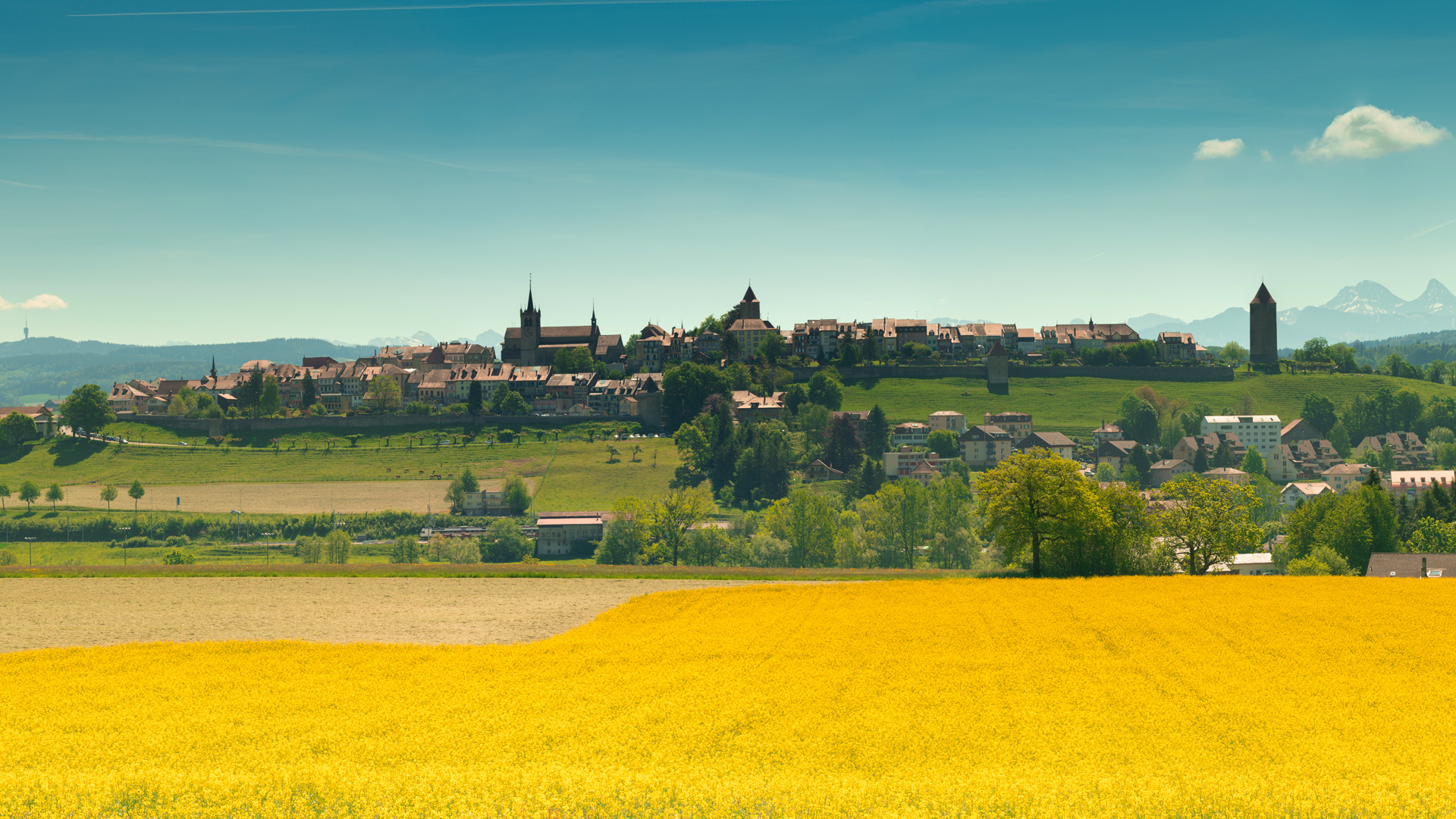 Réseau Santé Glâne | Réseau